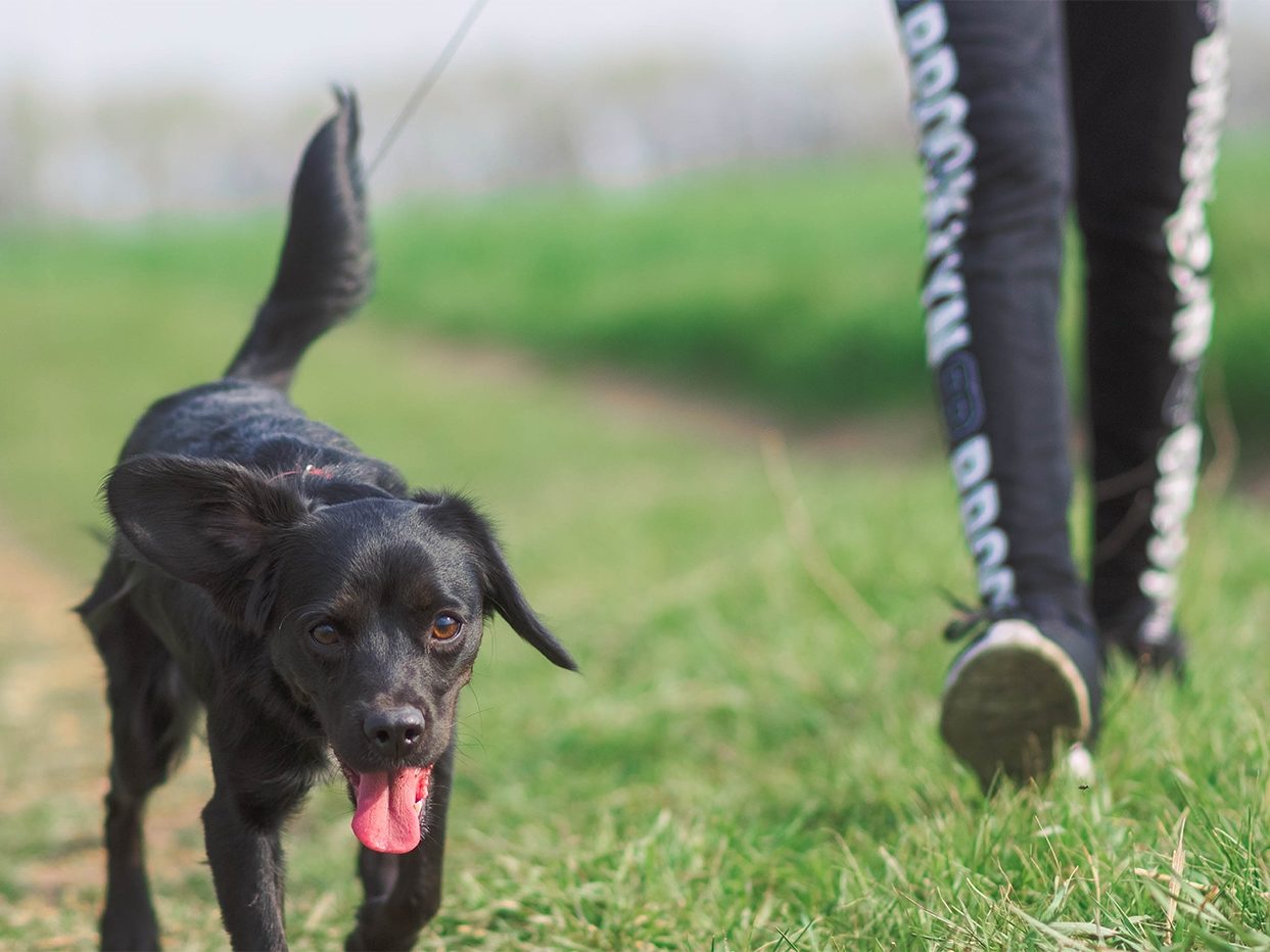 SMA_May_BlogHeader-aspect-ratio-4-3 - Stop Medicine Abuse